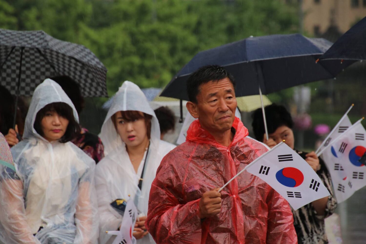 August 15 Marks Historic Holiday Shared by Both Koreas: National ...